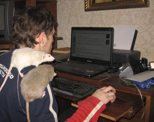 Altes und Neues von Bernd Nowack, Dessau: Intelligente Ratten