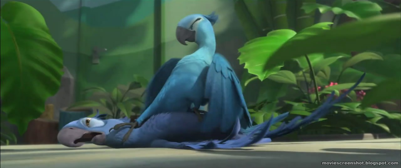 Rio HD movie screenshots