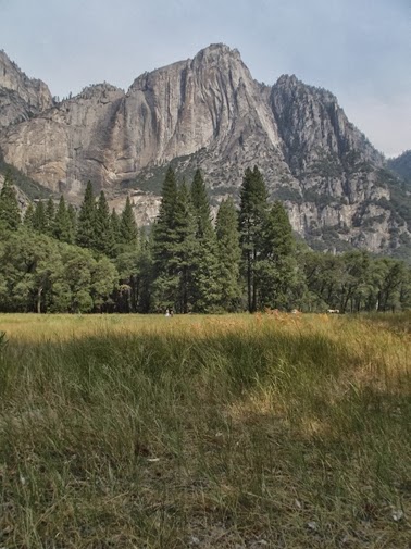 Discover the West: Sentinel Meadow & Cook's Meadow Loop