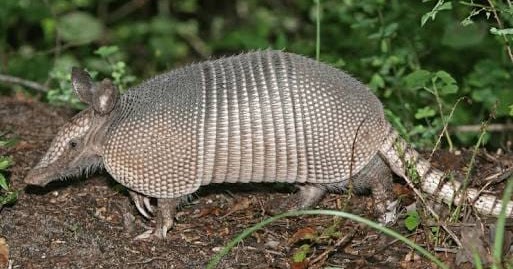 Historia y geografía de Quintana Roo.