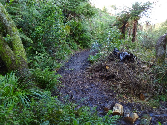Mangaiti Gully Restoration Group: First cut of the track