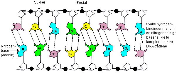 Den som tenker må tro - Del 2 av 7