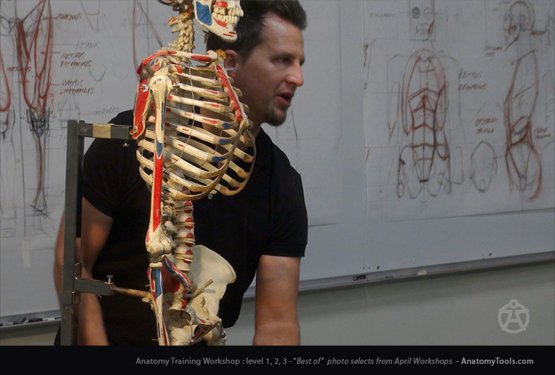 AnatomyTools.com: 2015 Photo Album - Human Anatomy Workshops "Best-of"
