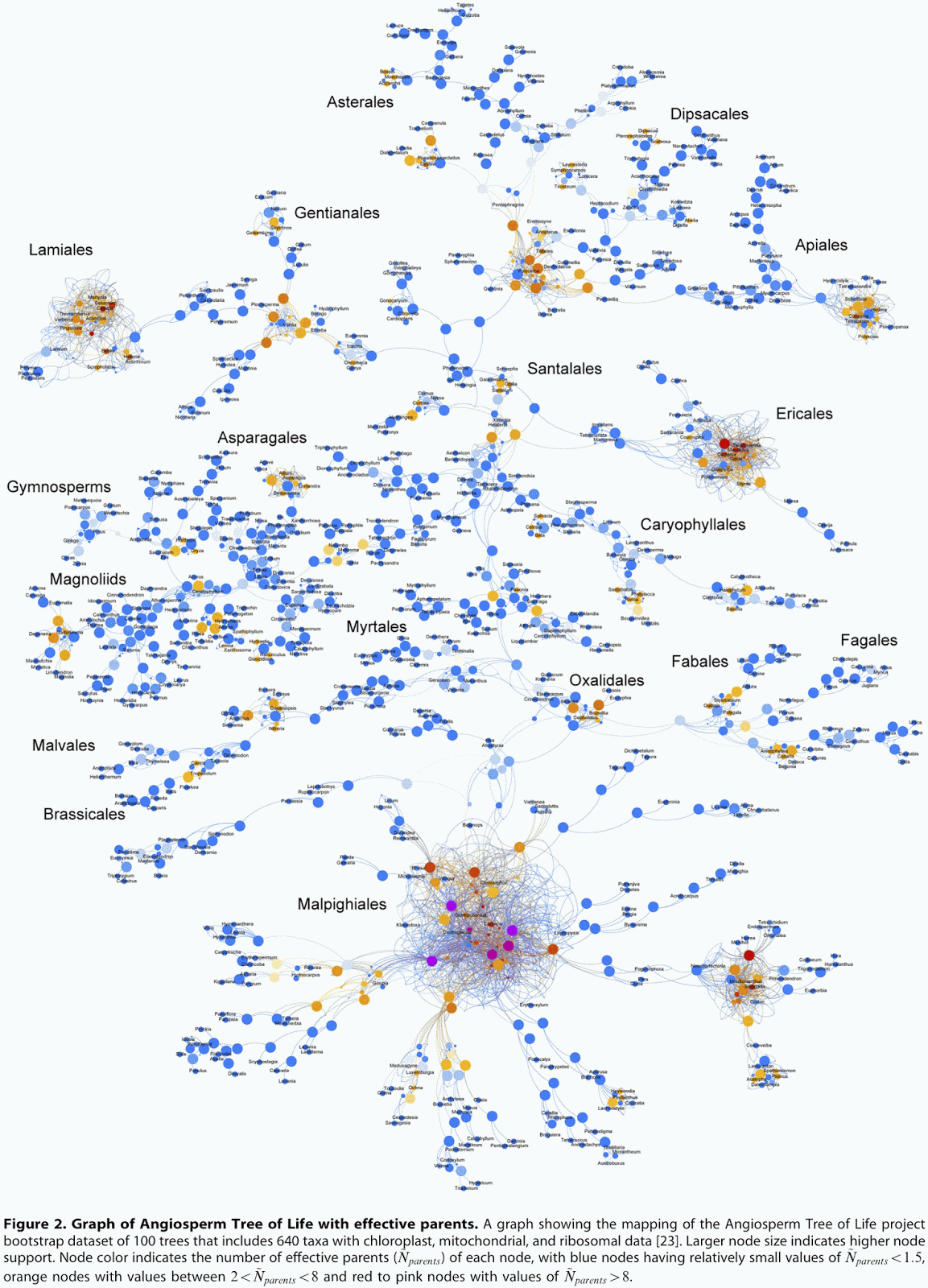 The Genealogical World of Phylogenetic Networks: Tree Alignment Graphs ...