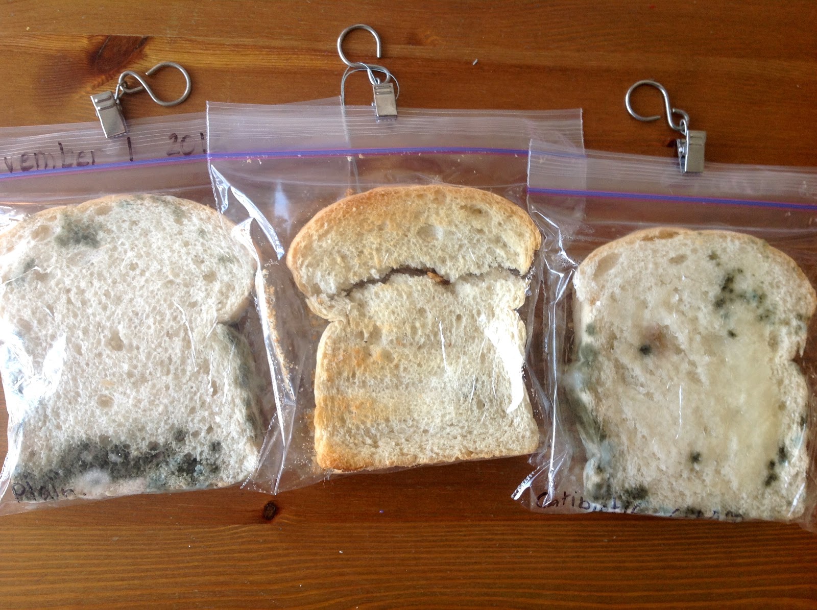 More Mom Time: Our preservation and decay experiment