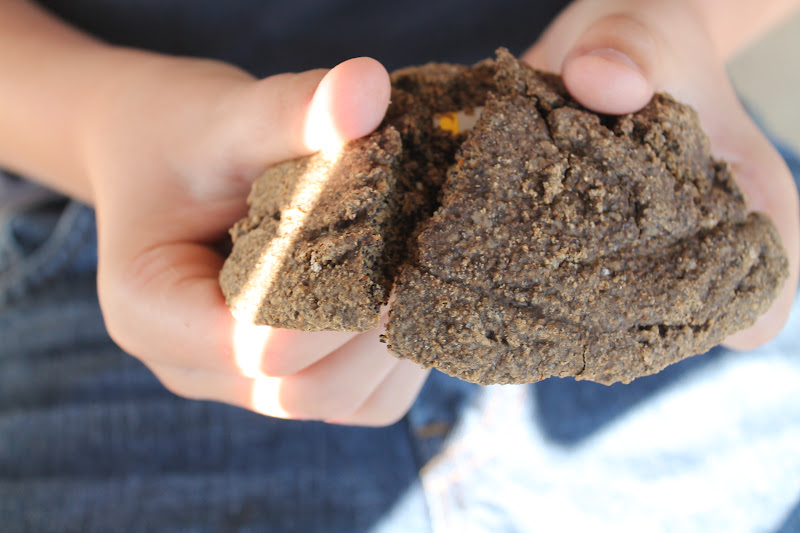 Texas Homemaking: DIY :: Treasure Stones