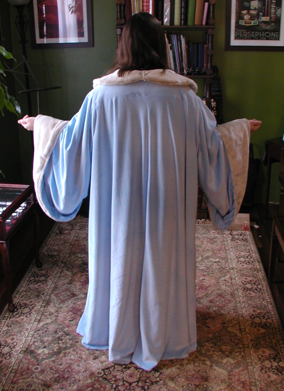 The Casual Costumer: Eowyn's Blue Robe