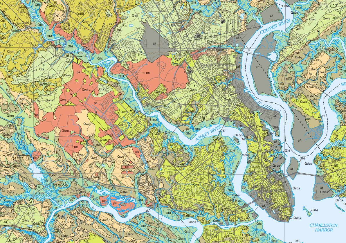 The Coastal Paleontologist: The Ashley Phosphate Beds: the ...