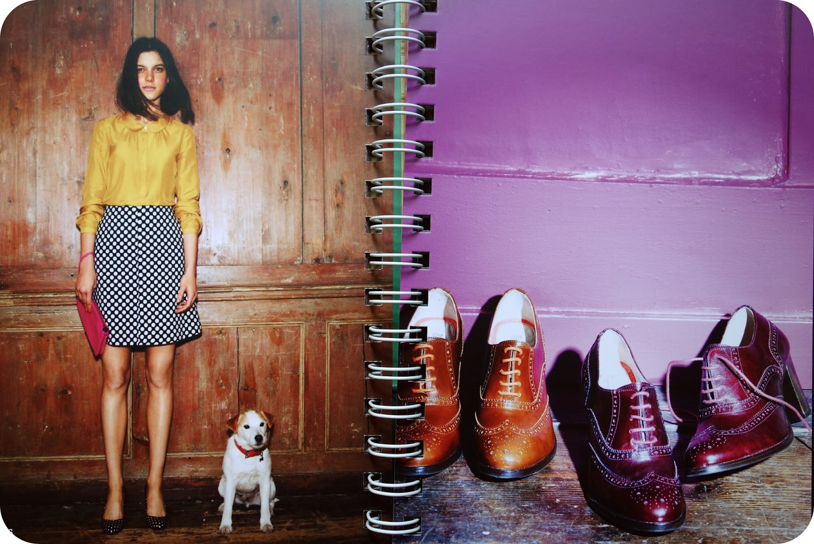 My Superfluities: Boden: Autumn Winter 2013 Preview Press Book!