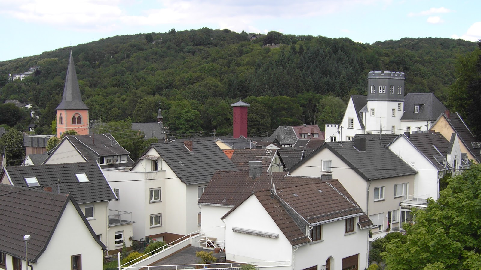 Heimatverein Rheinbreitbach: Weinberge über Rheinbreitbach