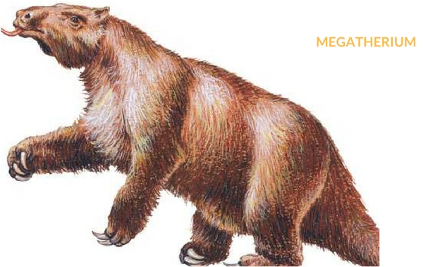 Mysterious Facts of World | Enhance Knowledge: Terrifying Extinct Animals