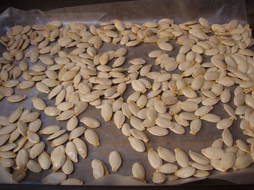 HOW TO GROW MARROWS FROM SEED |The Garden of Eaden