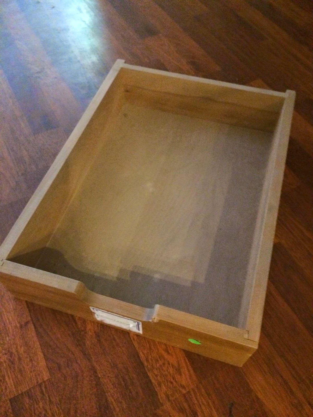 Lotsa Kids, Little Crazy