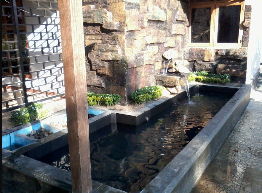 Kolam Ikan Minimalis Di Lahan Sempit