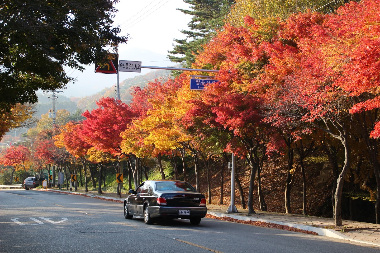 Fall Foliage Sightseeing In Korea - Donghwasa Temple of Mt. Palgong, Daegu