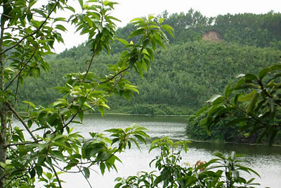 Bangladesh . Com: Beautiful Place in Bangladesh