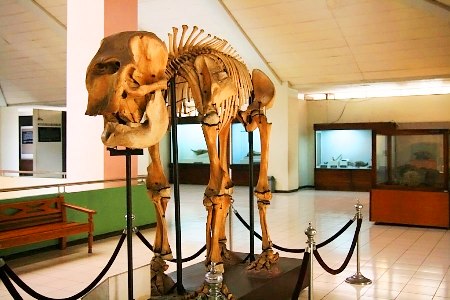 indonesia warna warni: Museum Ronggowarsito Semarang, Jawa Tengah