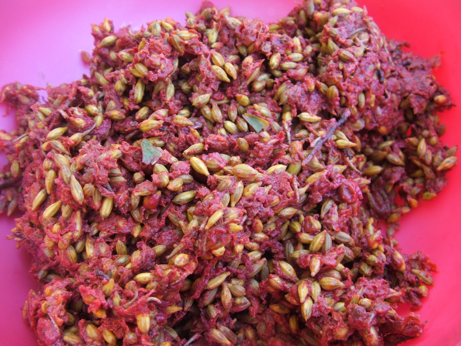 Green Zebra Market Garden: Autumn Olive Jam