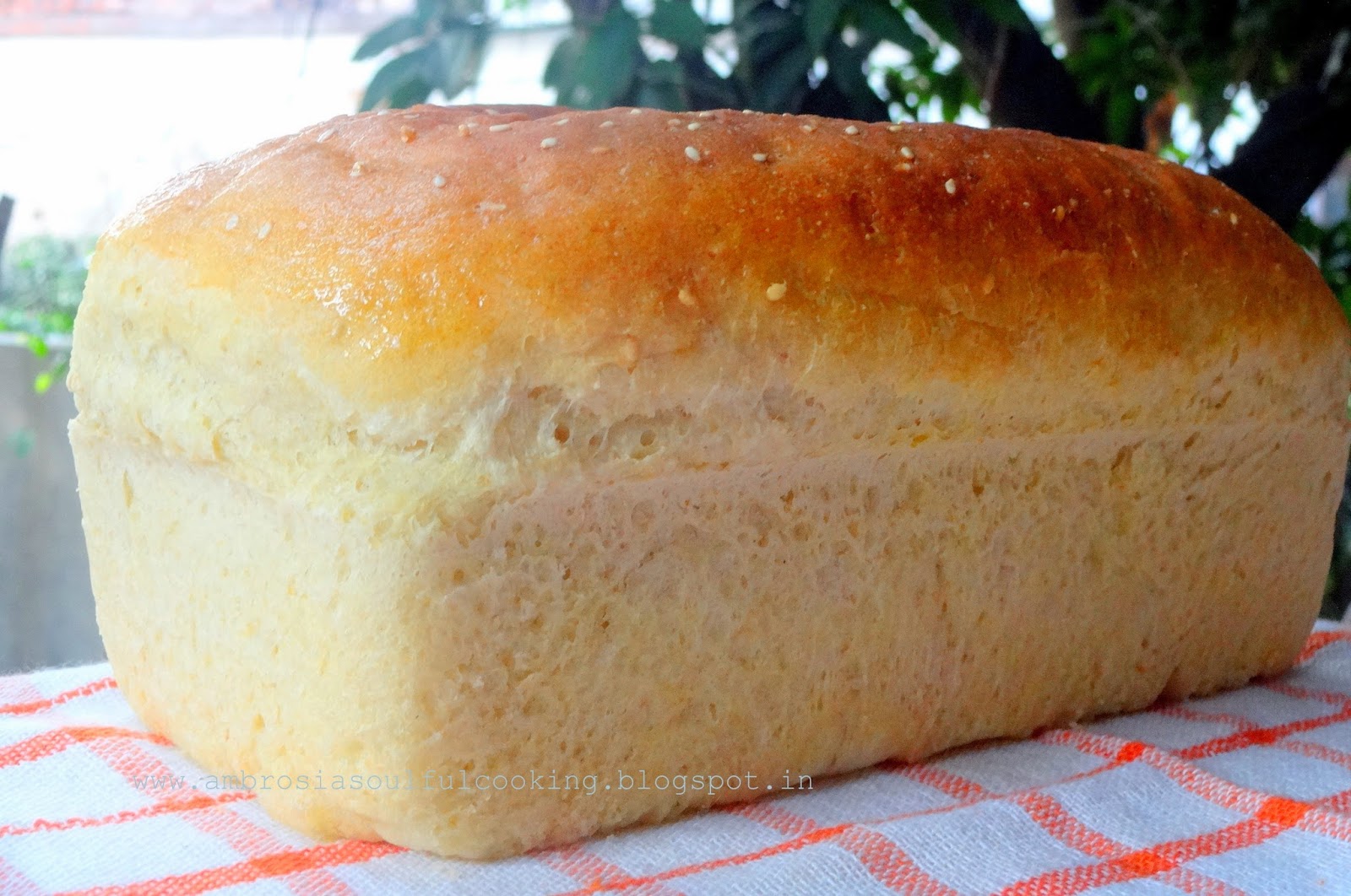 Cormeal Semolina Bread | Ambrosia