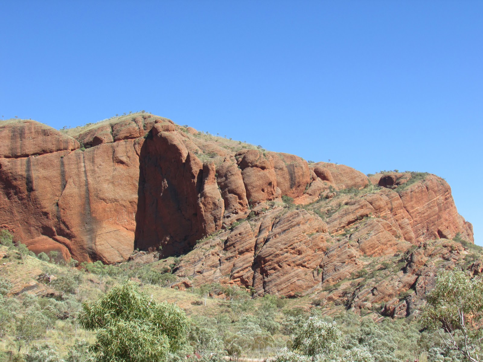 Scheffer Family's Great Aussie Adventure - 2013: 1 July -2 July 2013 ...