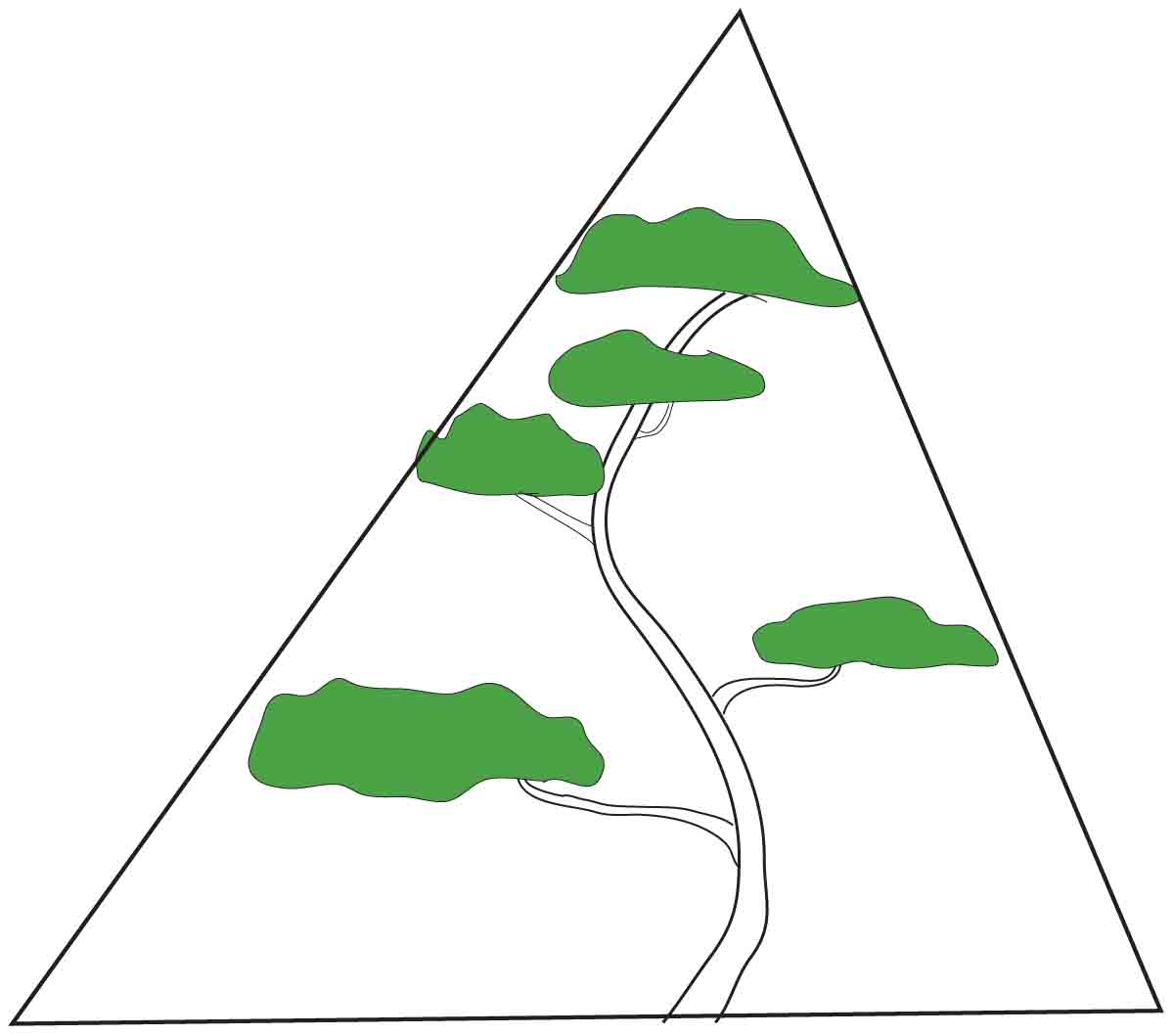 Robert Ketchell's blog: Some Thoughts on Pruning