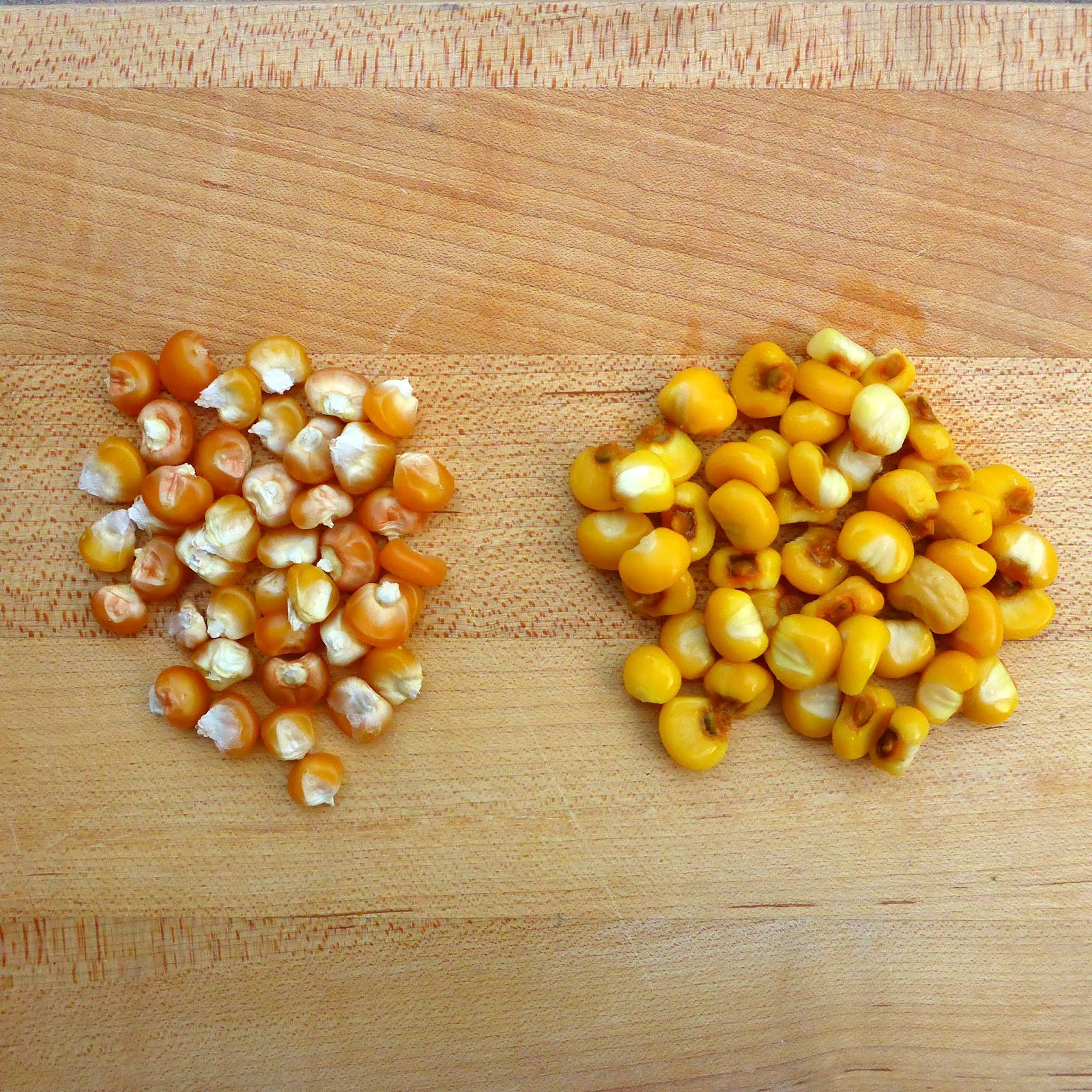 From Seed To Table: Nixtamalized Corn For Posole