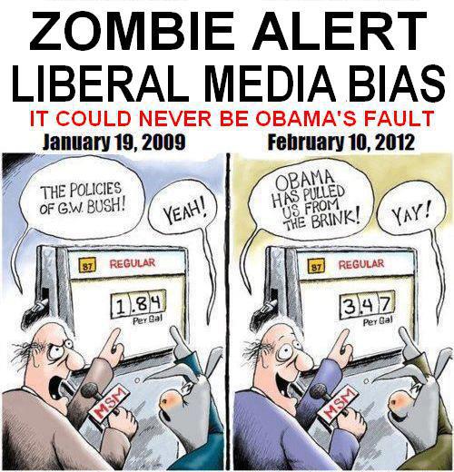 HolyCoast: Media Bias Cartoon of the Day