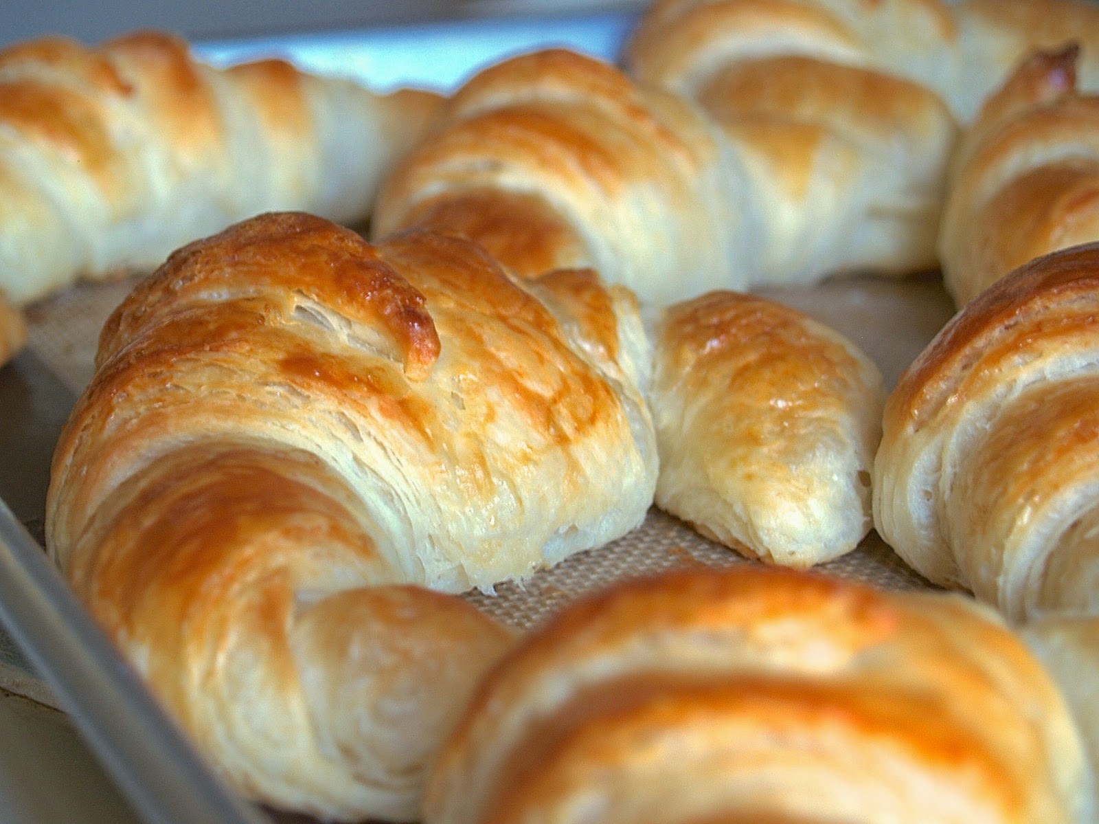 Hungry Hungry Highness: Croissants