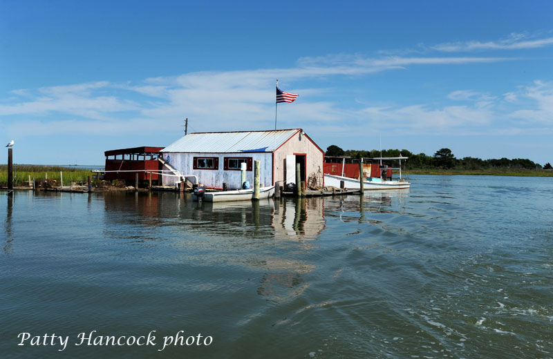 Georgia Artists: September 2011