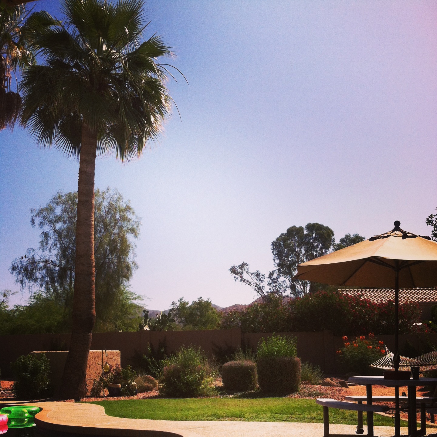 Samson in the Spring