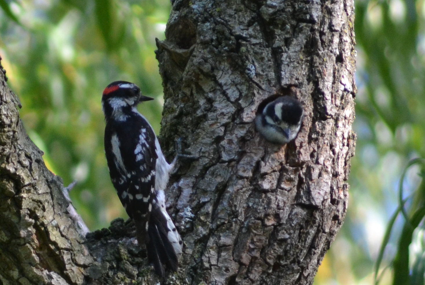 Landscape, Nature and Wildlife Photography done by Angie K. Johnson ...