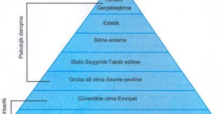 İhtiyaçlar Hiyerarşisi Nedir? - Ders Kitabı Cevapları