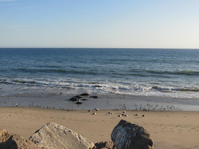 HHS Digital Photo Blog: Madison V- Malibu Beach