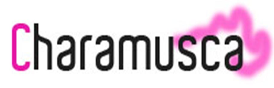 Noticias: MEXCAT y Charamusca presentan la 1a convocatoria de proyectos ...