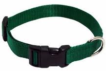 Hounds Unlimited: Dog Collar: Flat Buckle Collars