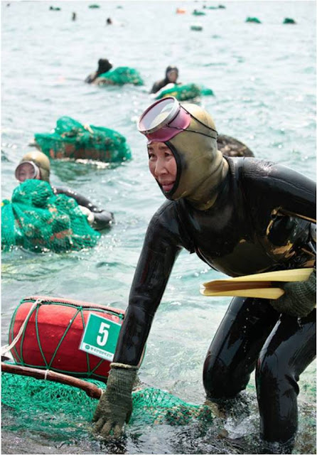 Haenyo – The Indomitable Diving Grandmas of Jeju Island ~ Kuriositas