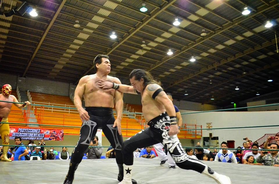 Proyeccion Luchistica: Gozan Ringo Mendoza y la Pantera Sureña merecido ...