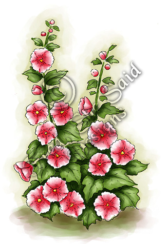 Fred, She Said Designs .... The Store: Hollyhocks