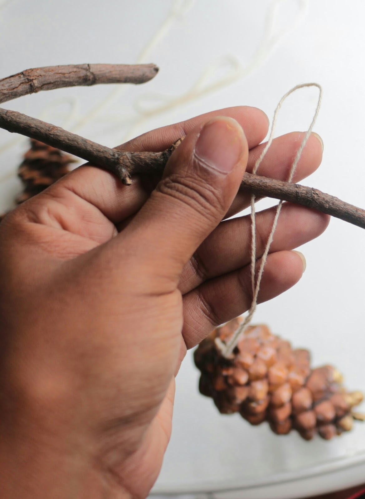 Easy Pine Cone Wall Hanging - Made by Carli