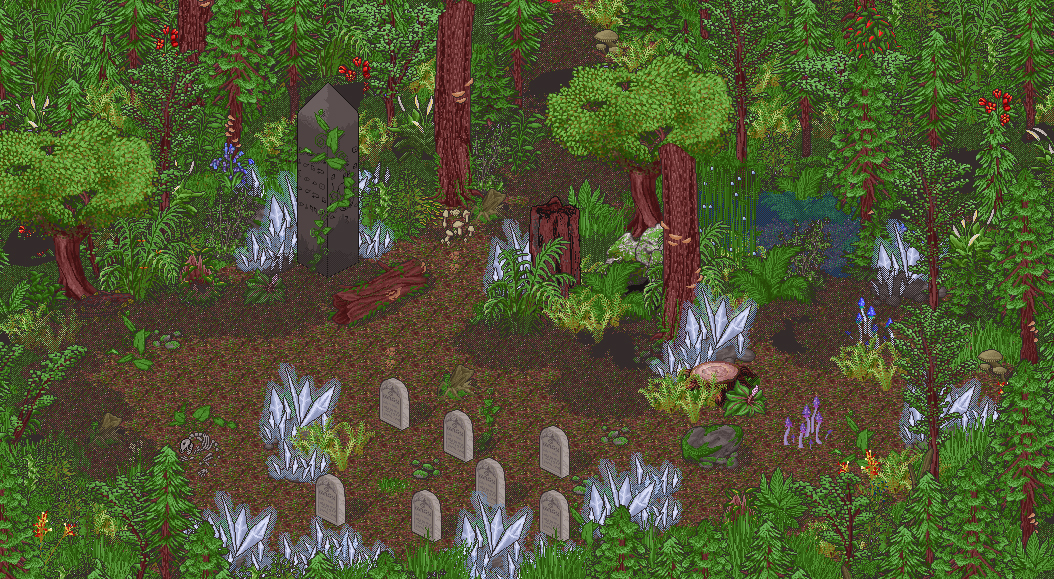 Shadow Fern: Climate & Terrain