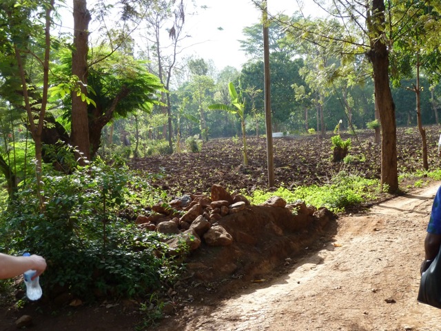 Tanzania Volunteerwork (Karanga, Moshi): Tour of Rau (A rural outskirt ...