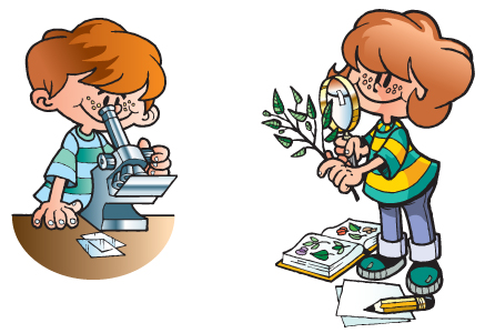 FUNDAMENTOS DE LA PEDAGOGÍA Y DIDACTICA II: PILARES DE LA EDUCACIÓN