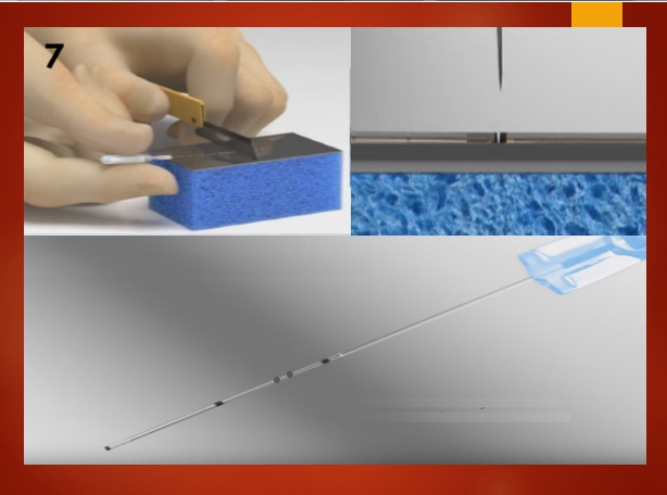 MANUAL DE TECNICAS REPRODUCCION ASISTIDA EN BOVINOS: CRIOPRESERVACION ...