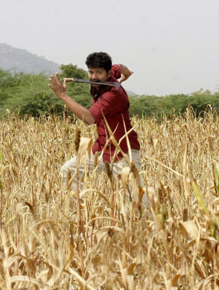 Latest Tamil Movies Stills: Velayutham Movie Stills