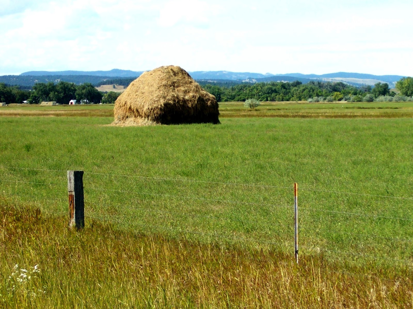 Yankee-Belle Cafe: Amish Haystacks - not quite as seedy as you might think!