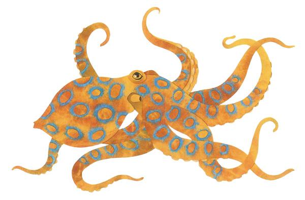 From Cover to Cover: A Blog about Children's Literature : Never Smile ...