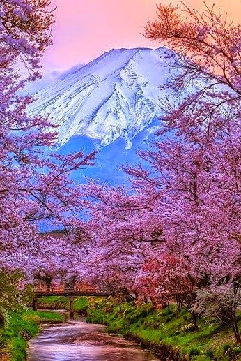 Paisajes y lugares hermosos: PAISAJES DE JAPON