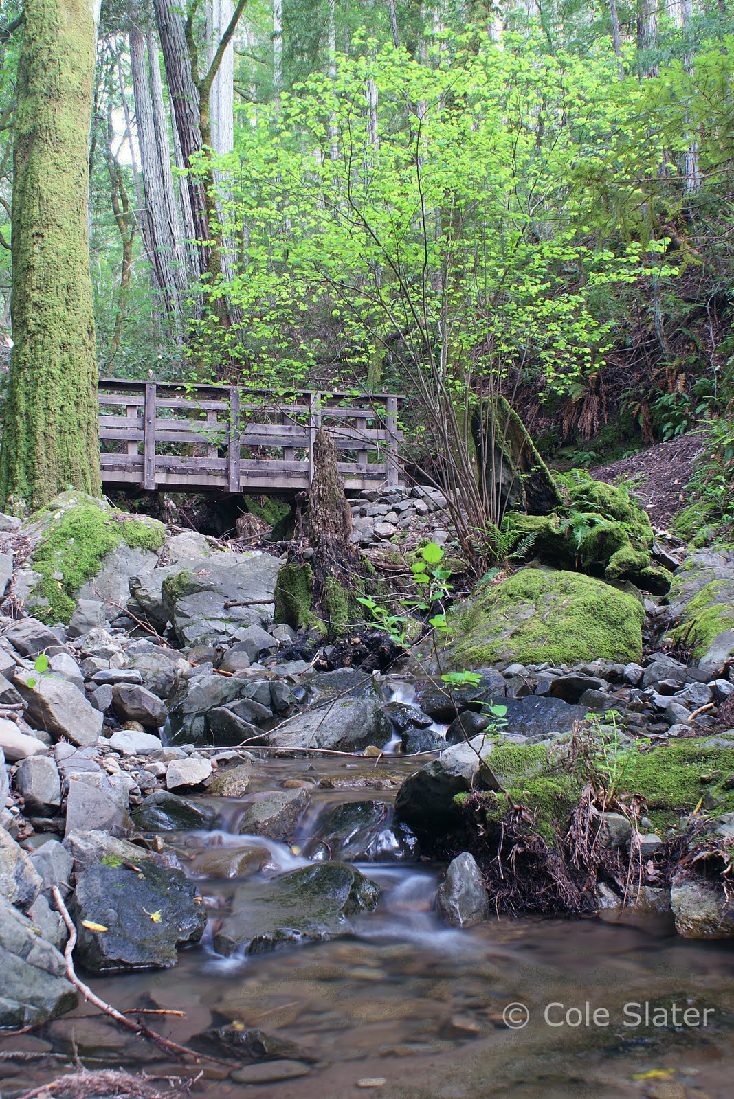 Cole's Trail Tales: Marin Waterfall Hike - Tucker Falls - 4-22-11