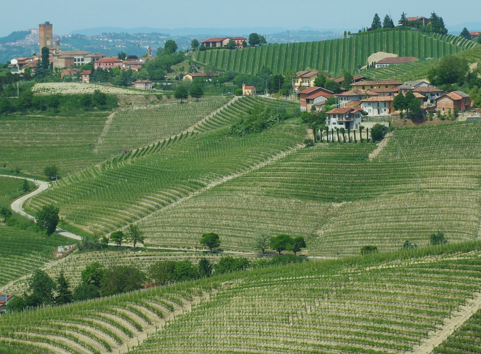 Piedmont Images