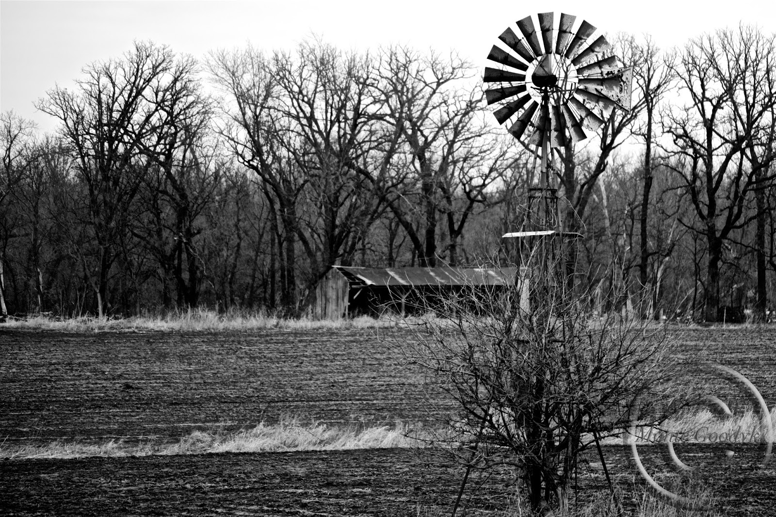 Monte's Creative Images: Black And White Countryside